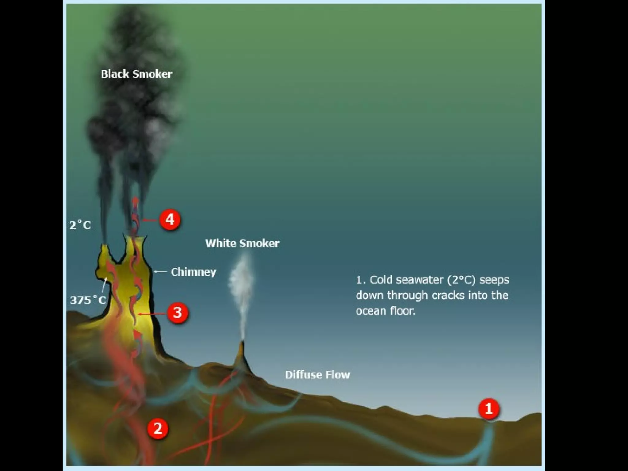 Hydrothermal vents | PPT