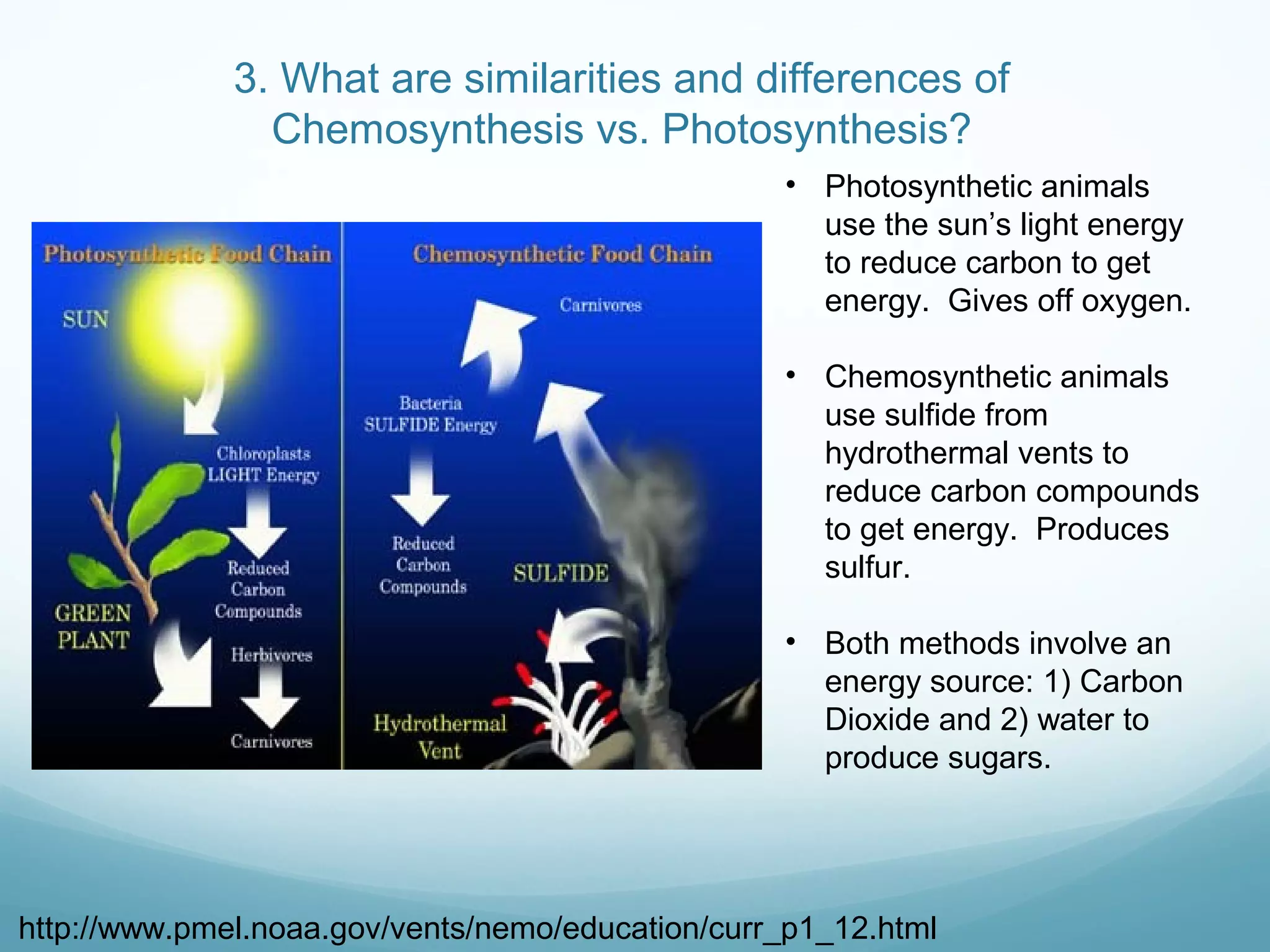 Hydrothermal vents | PPT