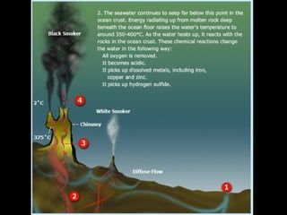 Hydrothermal vents | PPT