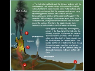 Hydrothermal vents | PPT