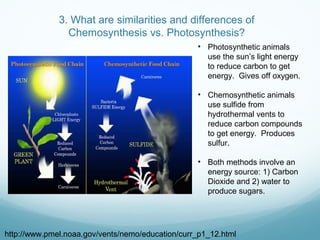 Hydrothermal vents | PPT