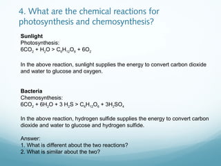 Hydrothermal vents | PPT