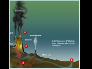 Hydrothermal Vent Diagram