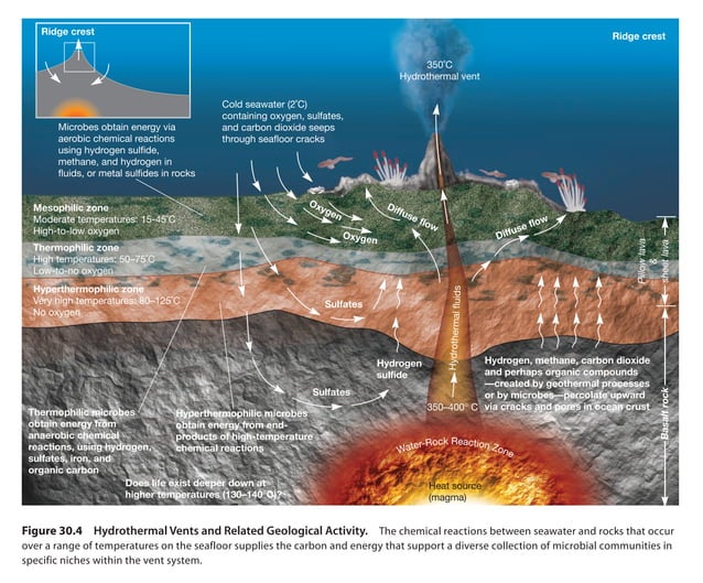 Hydrothermal vents | PDF