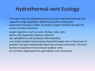 Hydrothermal vents | PPTX