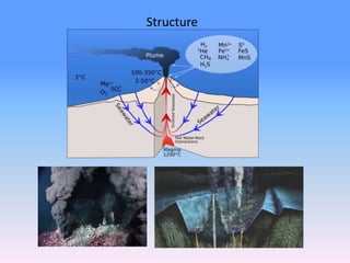 Hydrothermal Vents Diagram