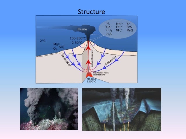 Hydrothermal Vent Diagram