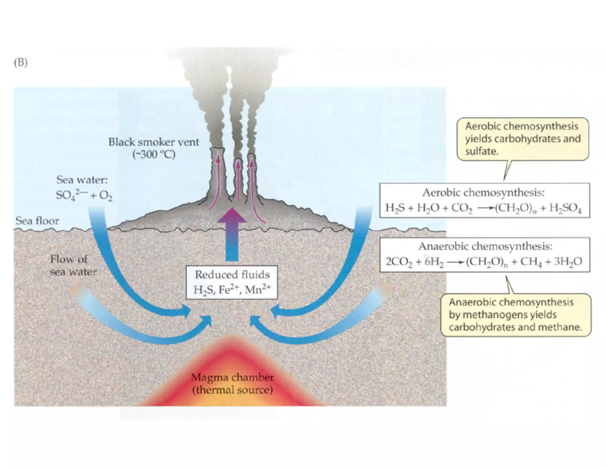 Hydrothermal_Vents.pdf