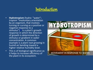 Hydrotropism | PPTX | Gardening | Home & Garden