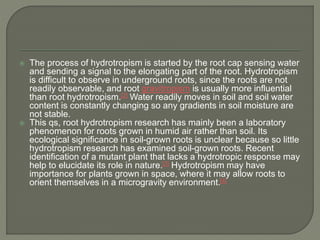 Hydrotropism | PPTX | Gardening | Home & Garden
