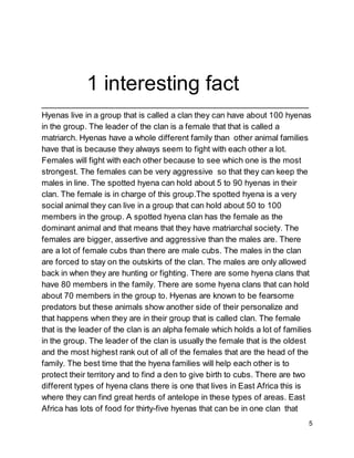 Hyena book for lucas seltzer google docs | PDF