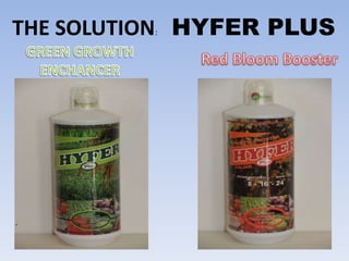 Hyfer vsbulkfert | PPT