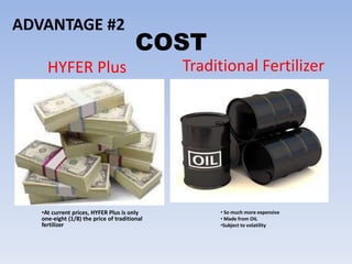 Hyfer vsbulkfert | PPT