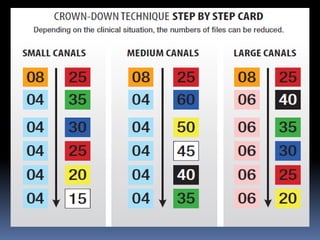 HyFlex CM File | PDF