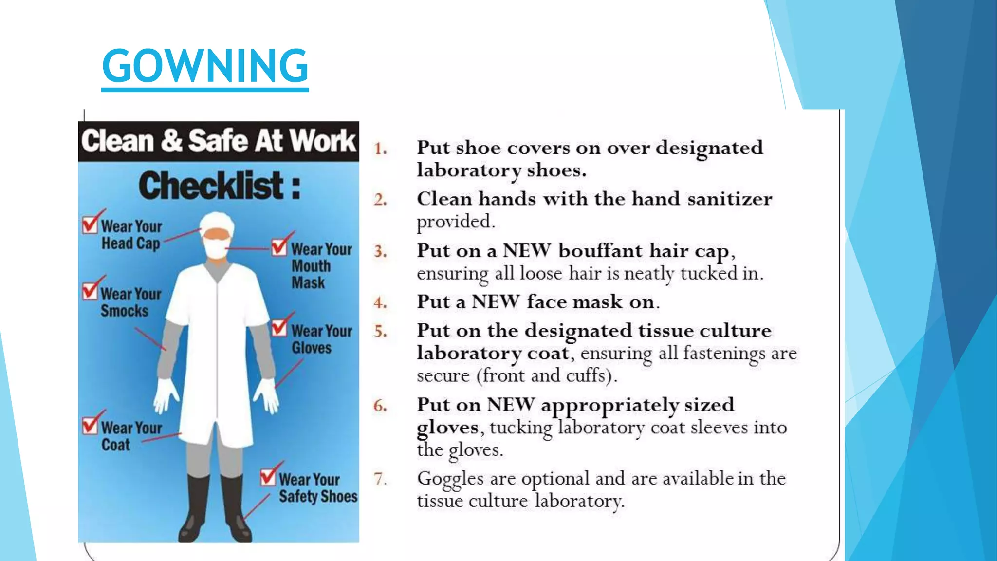 Hygeine & safety training | PPTX