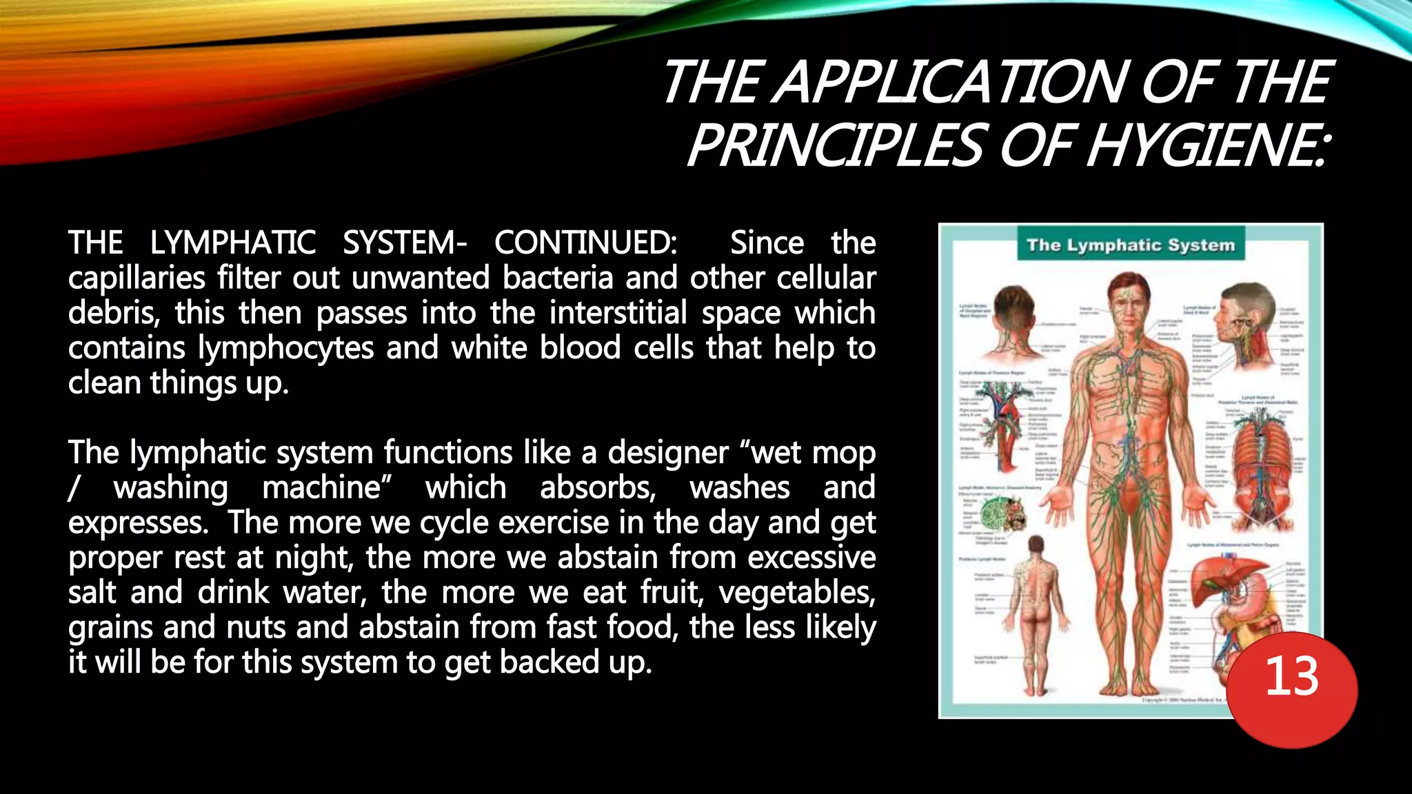 Principles of Hygiene 3 | PPTX