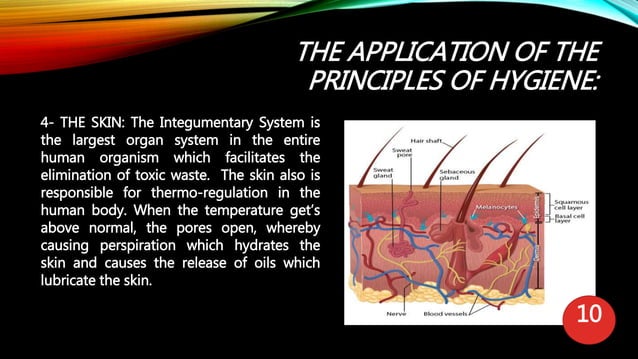 Principles of Hygiene 3 | PPT