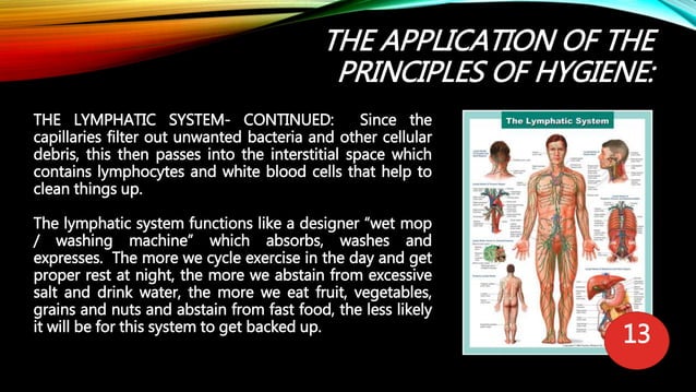Principles of Hygiene 3 | PPT