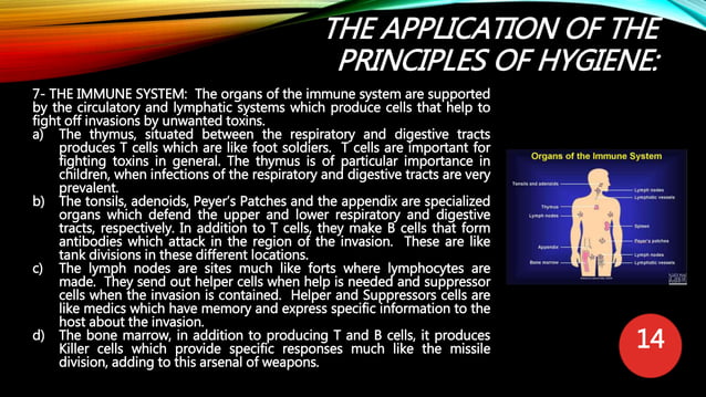 Principles of Hygiene 3 | PPT