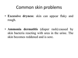 Factors Affecting Personal Hygiene, Fundamental of Nursing | PPTX