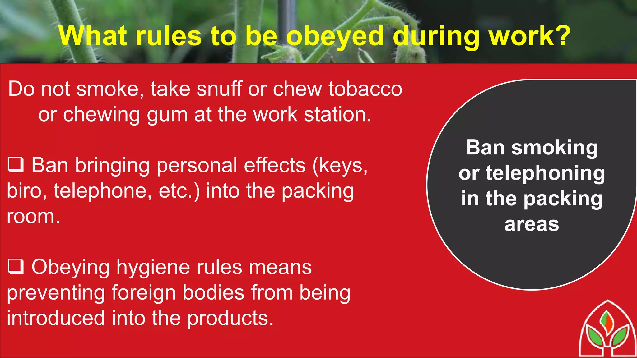 Importance of Hygiene and food safety in Fruits and Vegetable ...