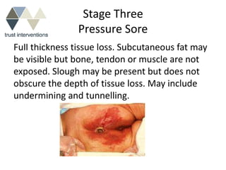 Hygiene and personal care and nails v1 | PPTX