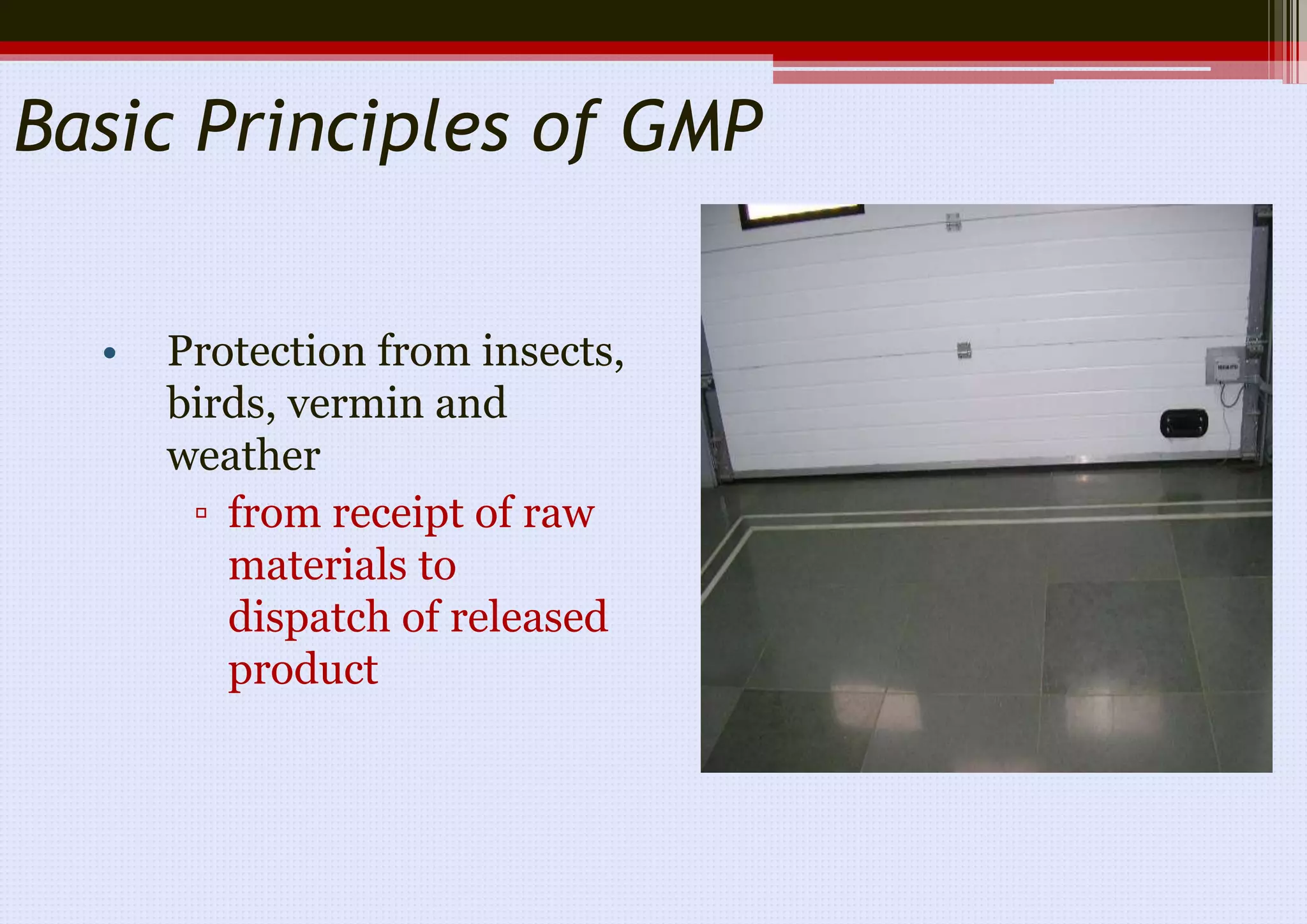 Hygiene & GMP Awareness Session | PPTX