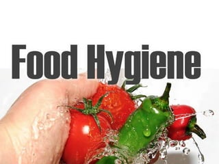 Hygiene history | PDF