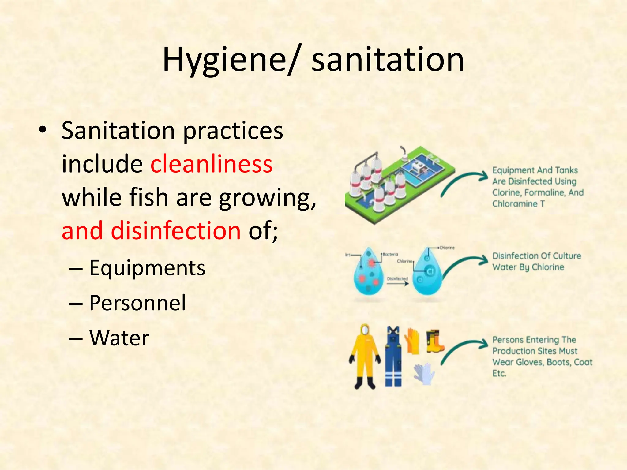 Hygiene of fish culture facilities..pptx