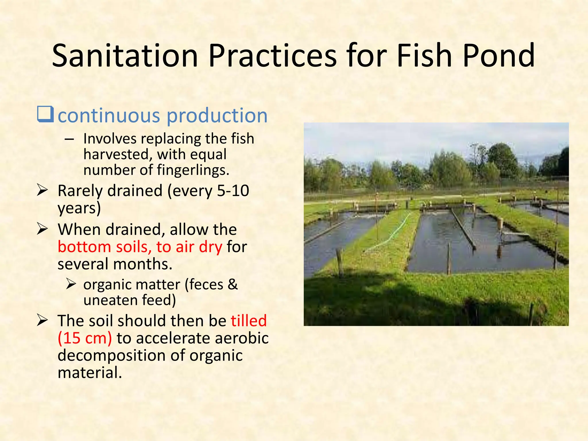 Hygiene of fish culture facilities..pptx