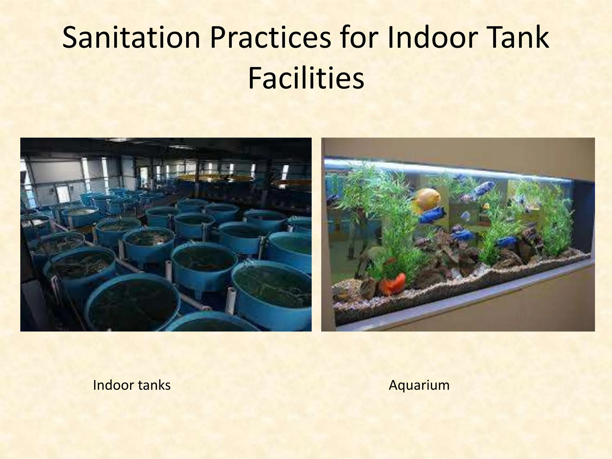 Hygiene of fish culture facilities..pptx