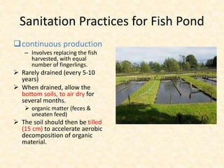 Hygiene of fish culture facilities..pptx
