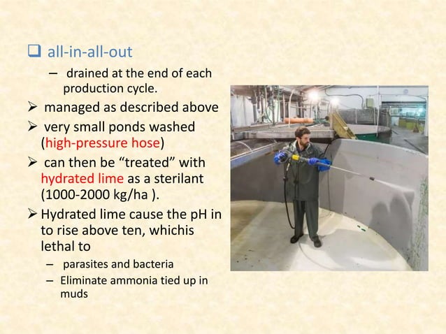 Hygiene of fish culture facilities..pptx