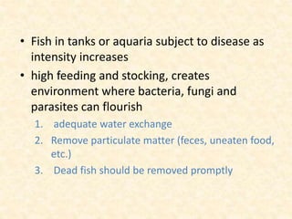 Hygiene of fish culture facilities..pptx