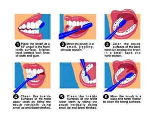 Hygiene ppt | PPTX