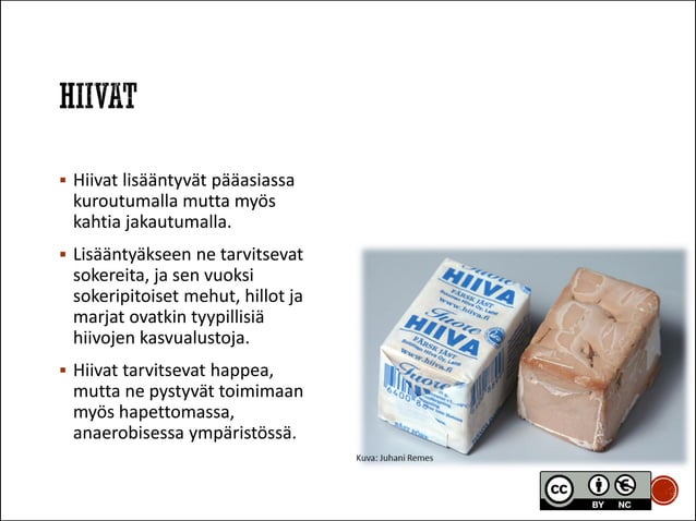 Hygieniapassi opiskelumateriaali | PDF