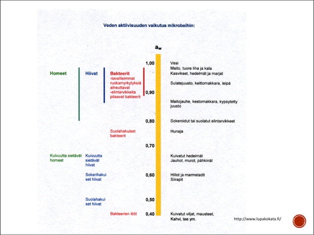 Hygieniapassi opiskelumateriaali | PDF