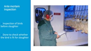 Hygienic poultry processing | PPTX | Agriculture | Industries