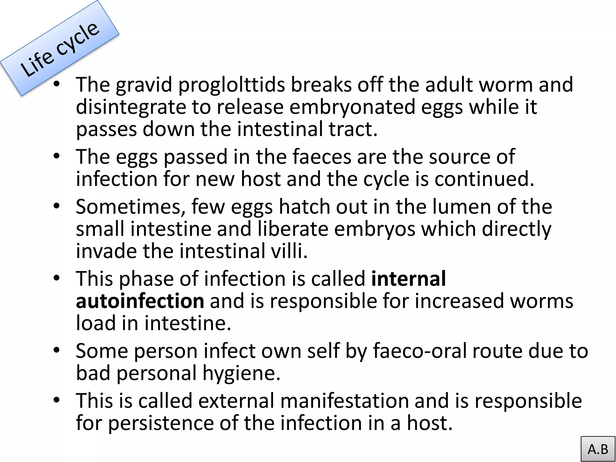 Hymenolepis nana- Dwarf Tapeworm | PDF