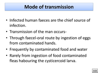 Hymenolepis nana- Dwarf Tapeworm | PDF