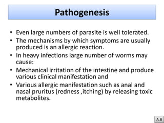 Hymenolepis nana- Dwarf Tapeworm | PDF