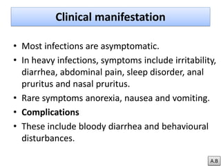 Hymenolepis nana- Dwarf Tapeworm | PDF