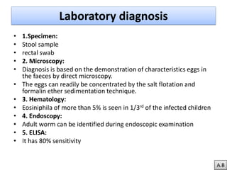 Hymenolepis nana- Dwarf Tapeworm | PDF