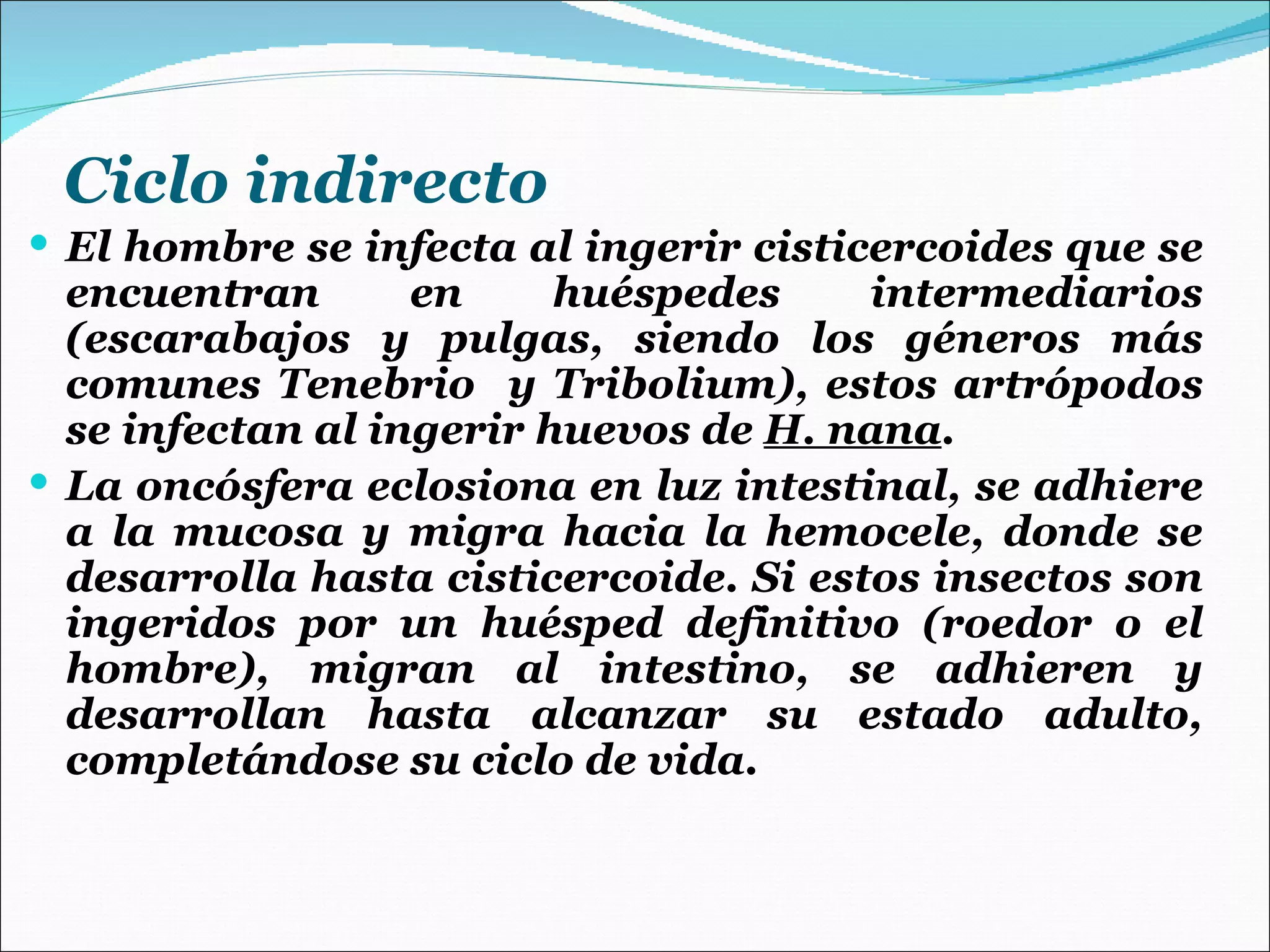 Hymenolepis nana y diminuta | PPS