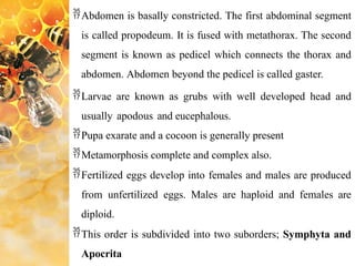 "Hymenoptera: A Diverse and Fascinating Order".pptx