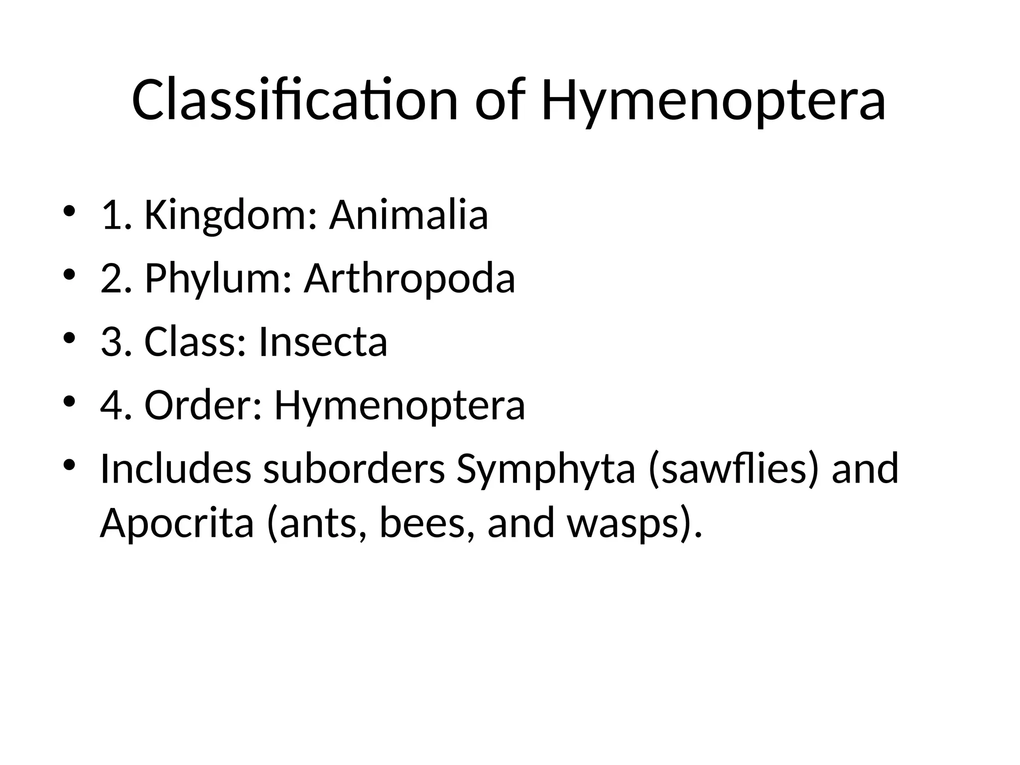 Hymenoptera order and ints importance .pptx