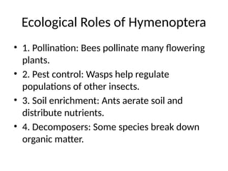 Hymenoptera order and ints importance .pptx