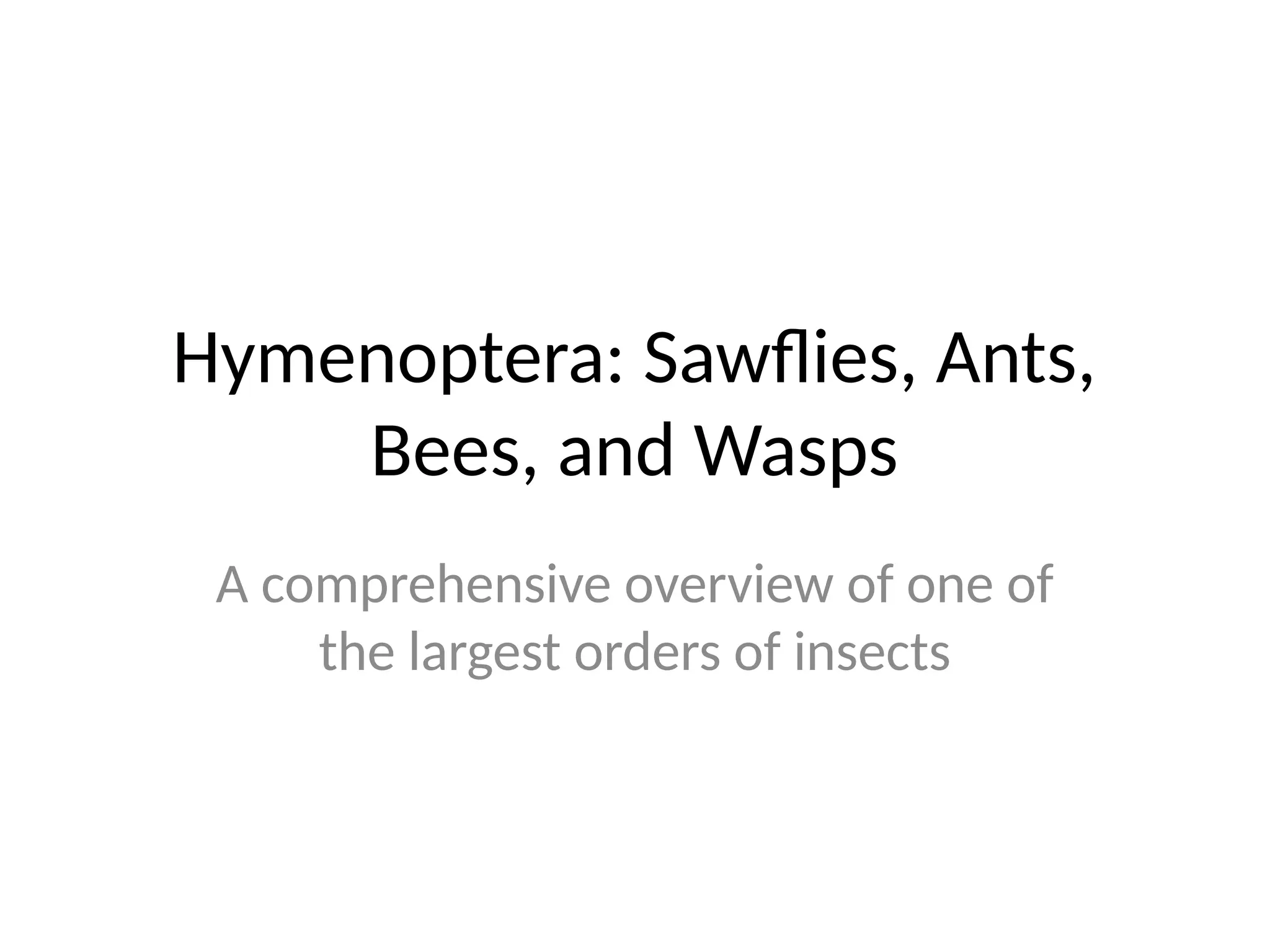 animal kingdom insecta Hymenoptera order .pptx