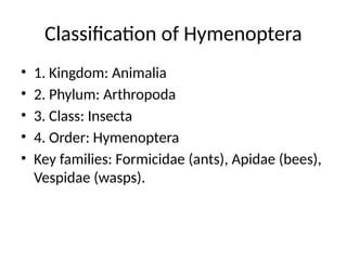 animal kingdom insecta Hymenoptera order .pptx