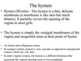 Hymenorrhaphy | PPT
